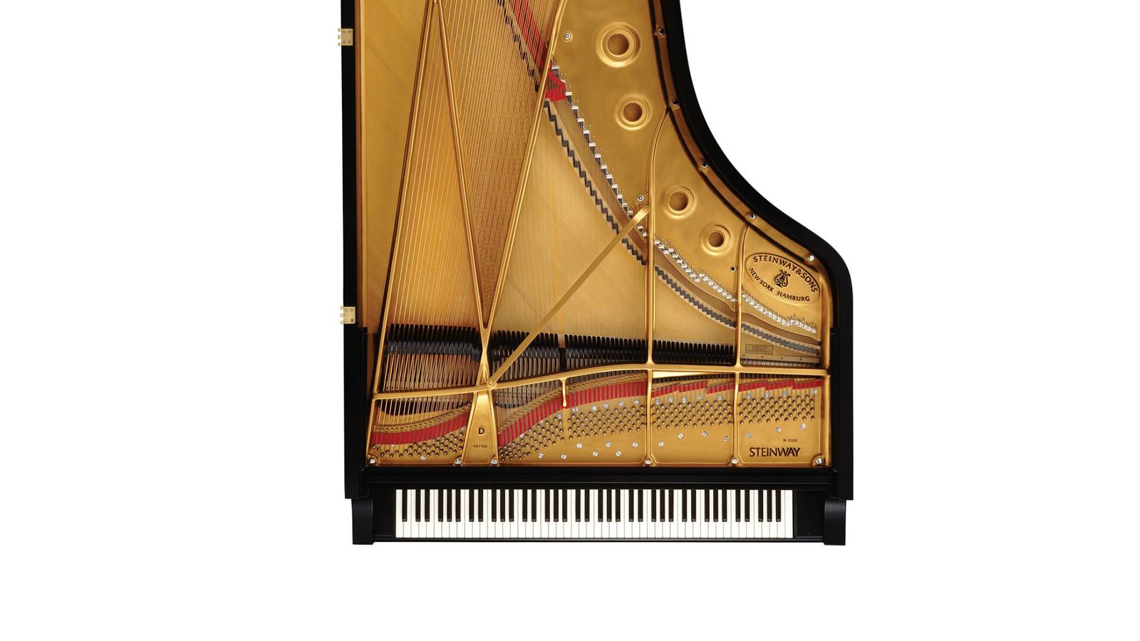 Steinway Grand Piano D-274 - The Concert Piano - Details