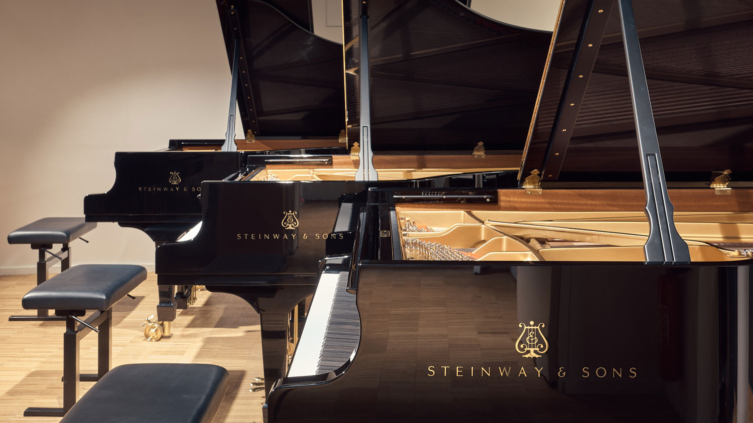 Location concert Steinway & Sons à Paris - Pianos D-274 et B-211